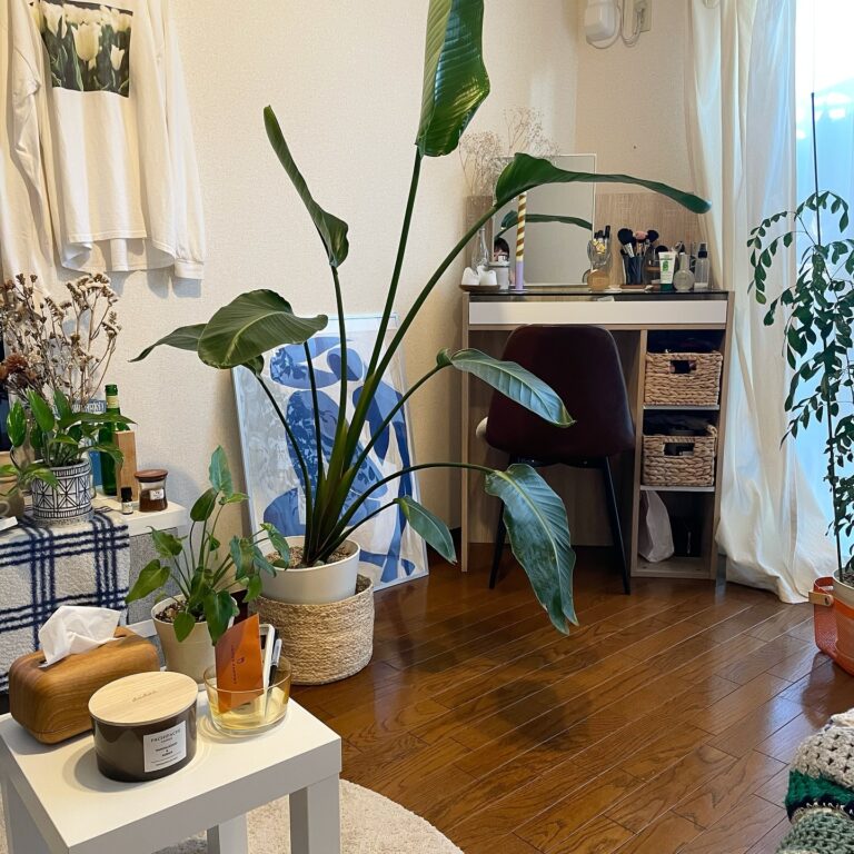 あえての“ごちゃごちゃ感”と、プチプラで楽しむ空間づくり。二人暮らしの3DKインテリア | goodroom journal